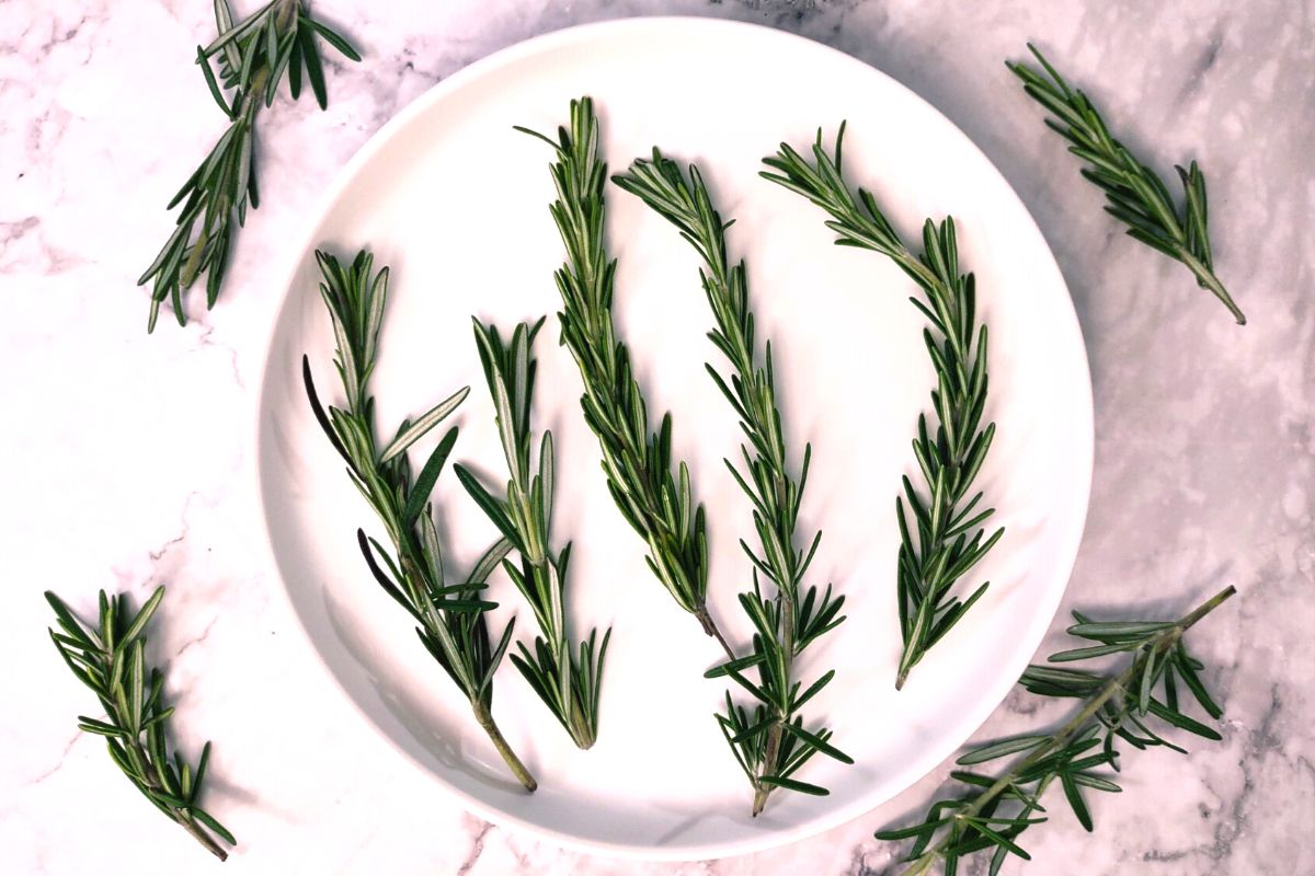 How to Dry Rosemary in the Air Fryer Quick and Easy - Dinners Done Quick