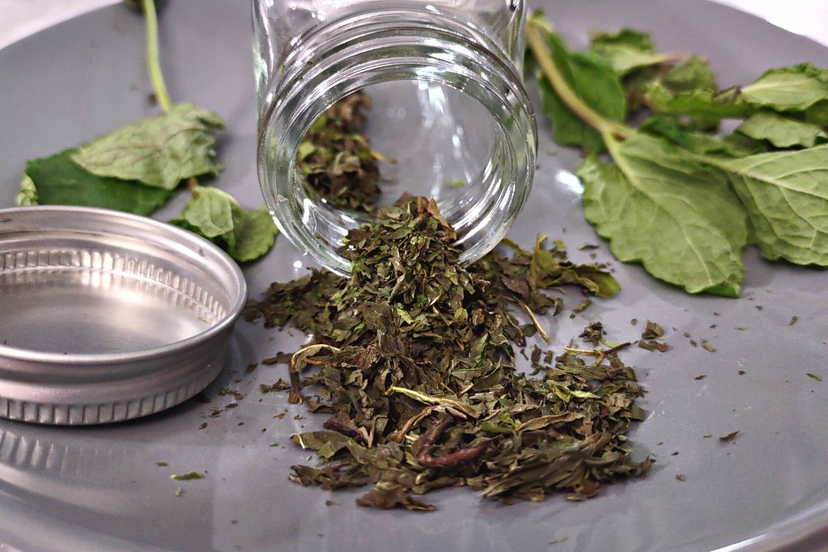 How to Dry Mint in the Air Fryer: Quick Dehydration Method! - Dinners ...