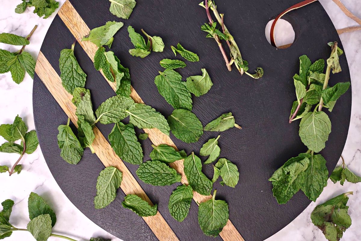 How to Dry Mint in the Microwave: Easy Dried Herbs! - Dinners Done Quick