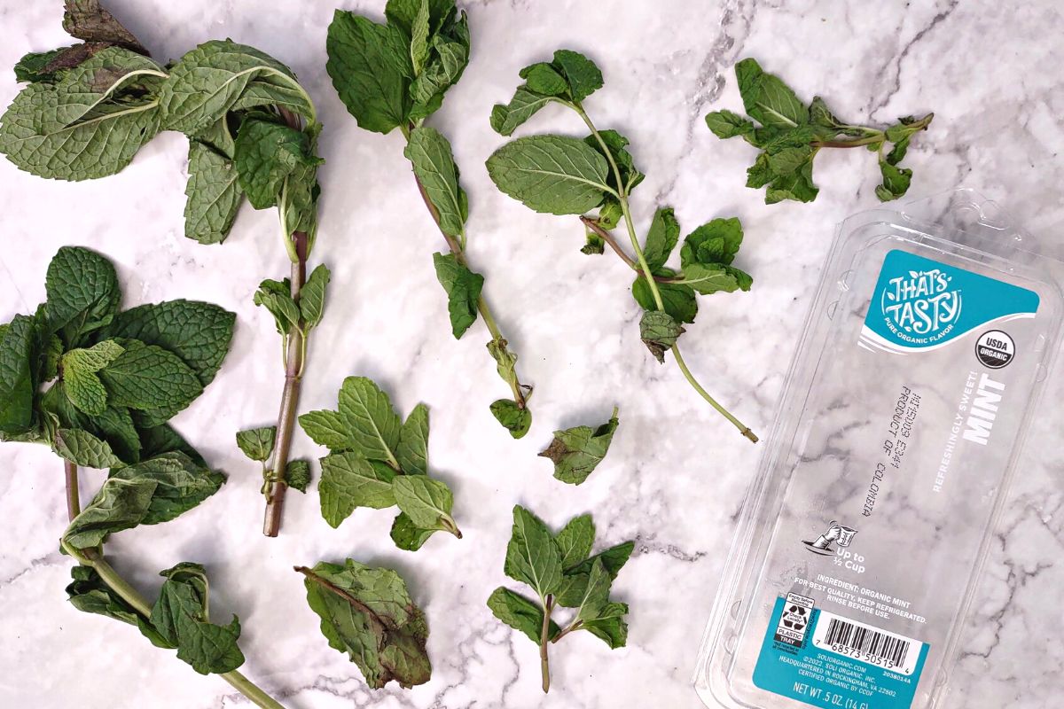 How to Dry Mint in the Air Fryer: Quick Dehydration Method! - Dinners ...