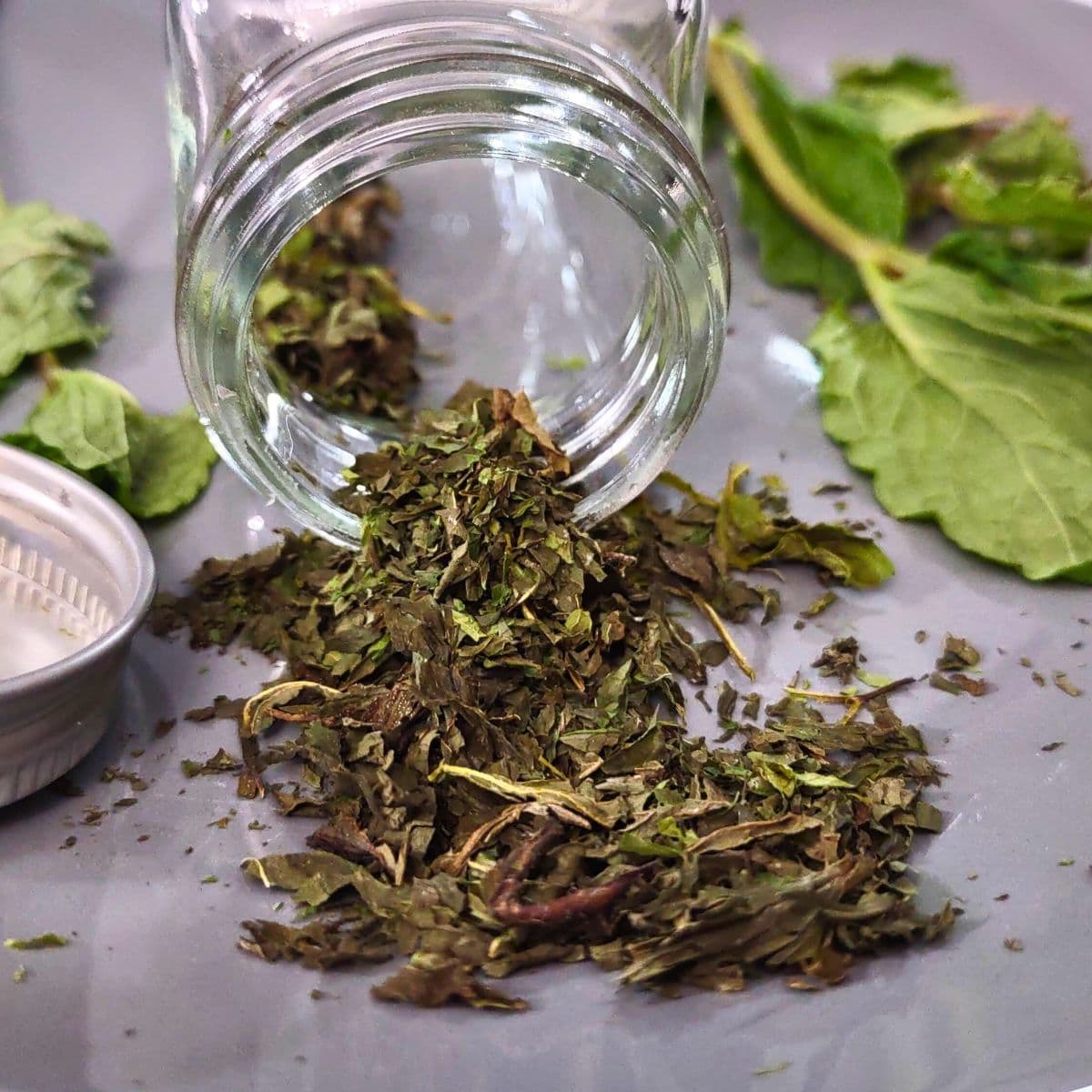 How to Dry Mint in the Air Fryer: Quick Dehydration Method! - Dinners ...