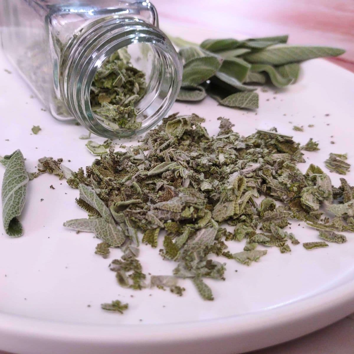 How to Dry Sage in the Air Fryer - Quick and Easy - Dinners Done Quick