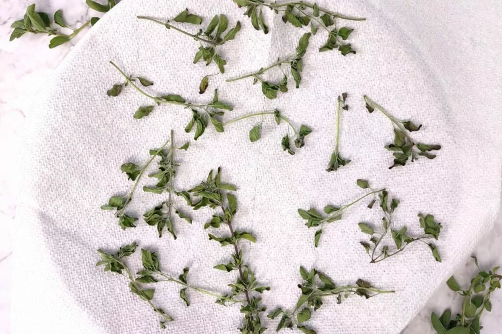 How to Dry Fresh Oregano in the Microwave Quickly - Dinners Done Quick